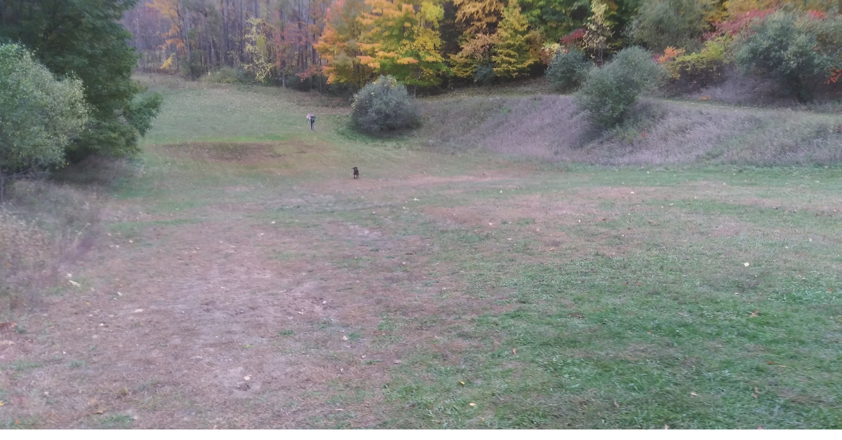 How To Live A More Simple Life - SimplySproutedHome